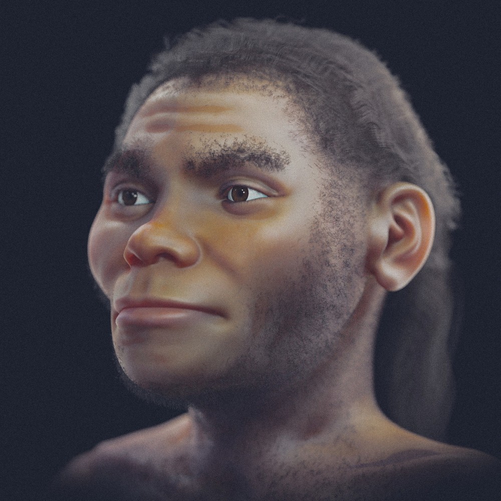 Crânio de Piltdown: veja a face de uma das maiores fraudes científicas ...