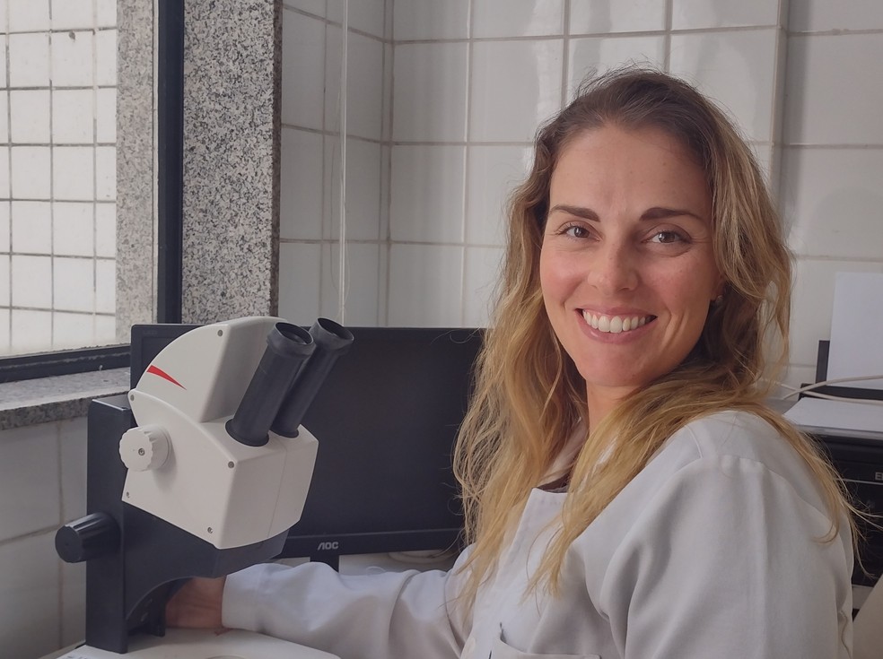 Para Mulheres na Ciência 2023: conheça as 7 vencedoras do prêmio