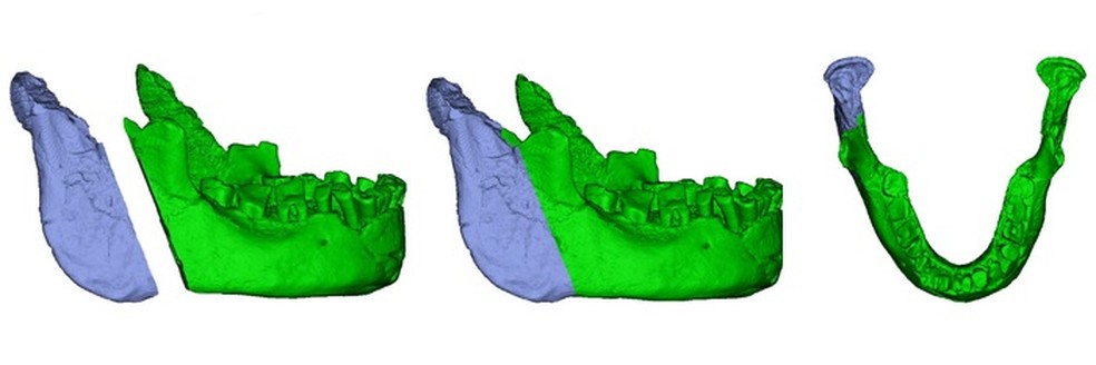 Mandíbula que se pensava ser de neandertal seria de 1º humano europeu