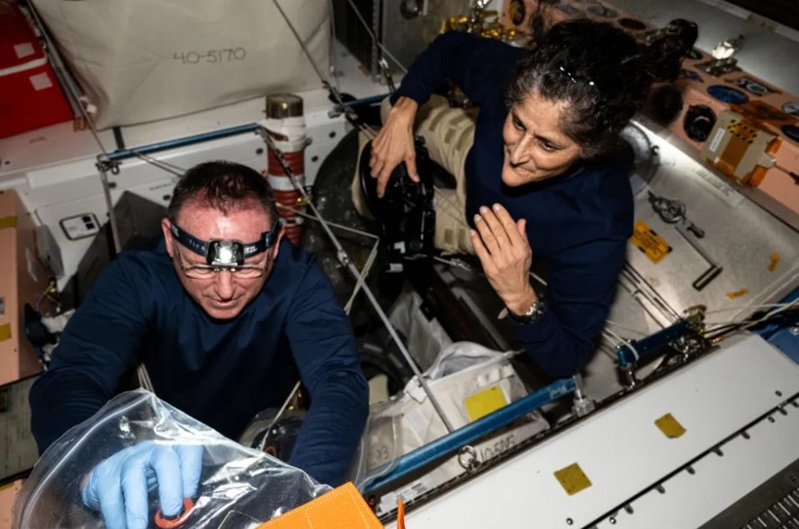 Astronautas 'presos' da Nasa vão trazer amostras de micróbios da ISS à Terra