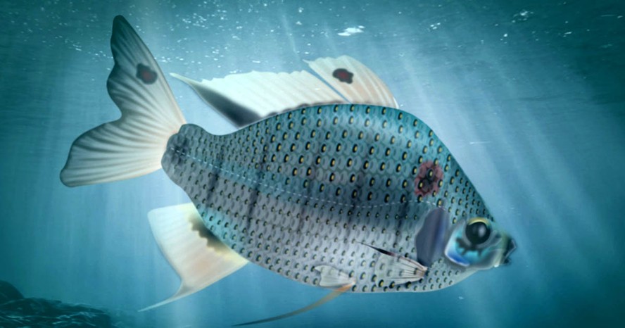 Achado em Alagoas, peixe fóssil de 125 milhões de anos é de nova ...