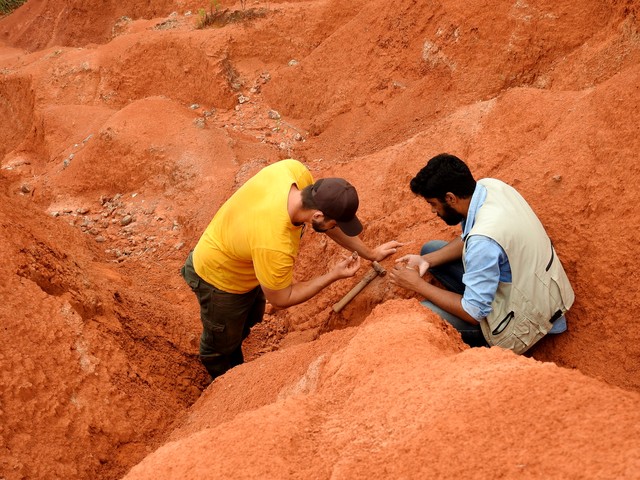 Réptil que conviveu com os primeiros dinossauros é descoberto no RS ...