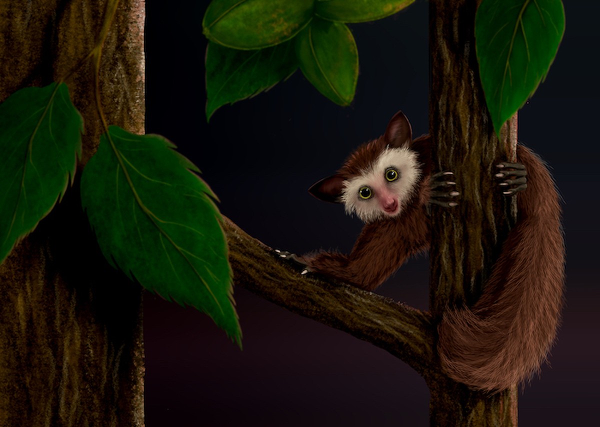 Fósseis desvendam primata que habitou América do Norte antes de humanos