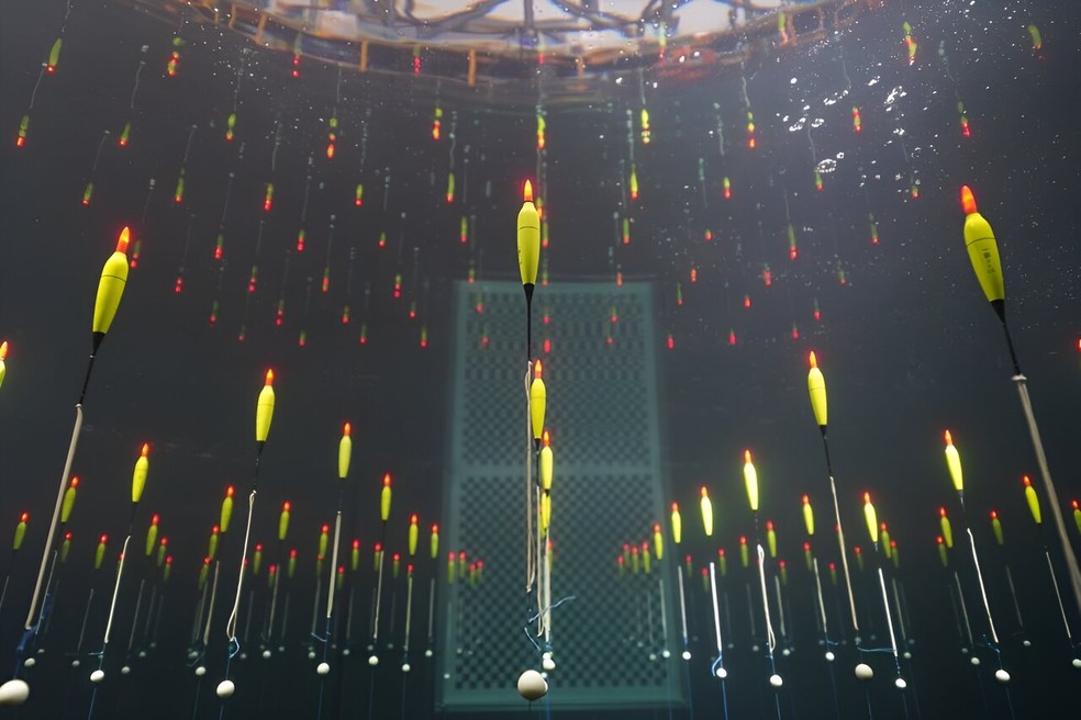 As promessas do maior observatório submarino do mundo, anunciado pela ...