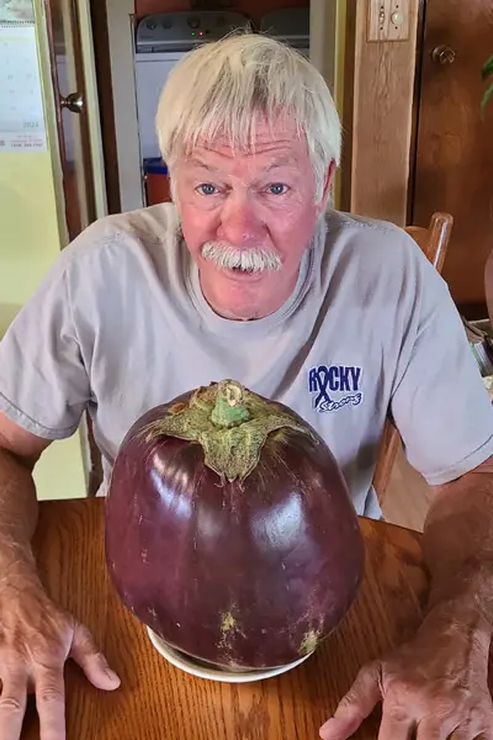 Com quase 4 kg, berinjela mais pesada do mundo é cultivada por americano