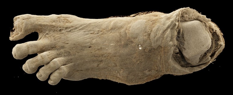 Imagens de raios X revelam interior de múmias egípcias de 2,3 mil anos