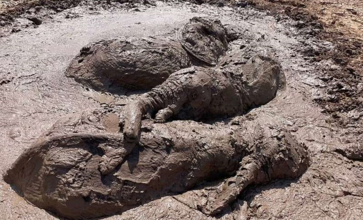 Armadilha de areia movediça pré-histórica é achada em cemitério de ...