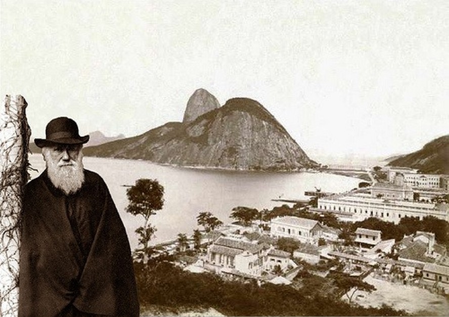 7 curiosidades sobre a histórica passagem de Charles Darwin pelo Brasil