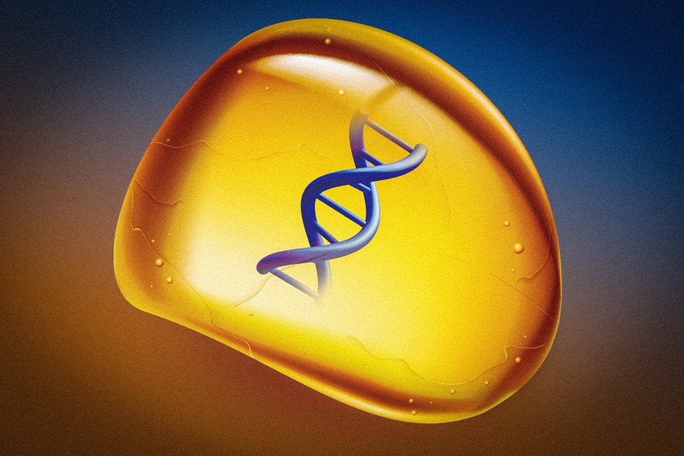 Método inspirado em Jurassic Park preserva DNA em polímero que lembra o ...