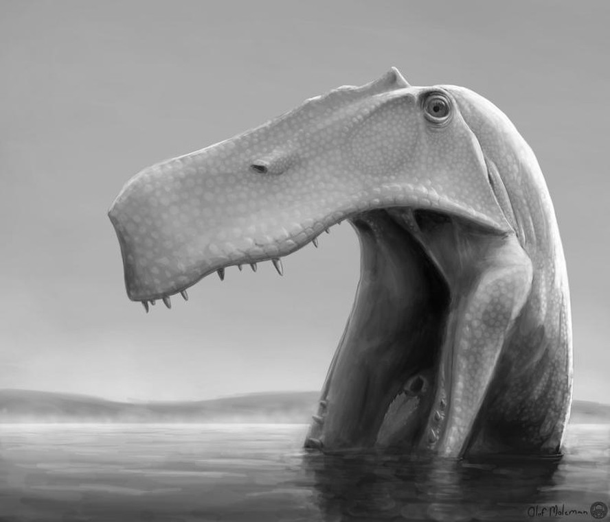 Dinossauro que viveu no Nordeste há 115 milhões de anos é reconstituído