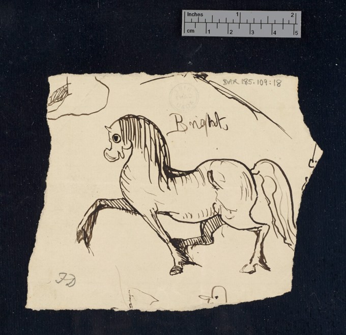 Os curiosos desenhos que os filhos de Charles Darwin deixaram em seus ...