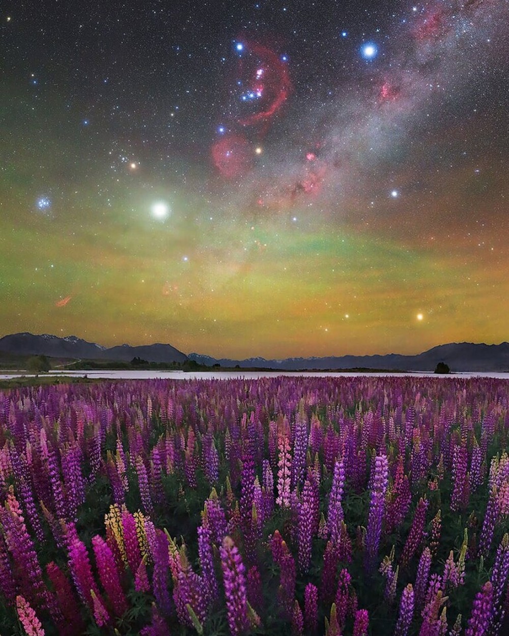 Concurso de fotografia premiou as melhores imagens da Via Láctea em 2025