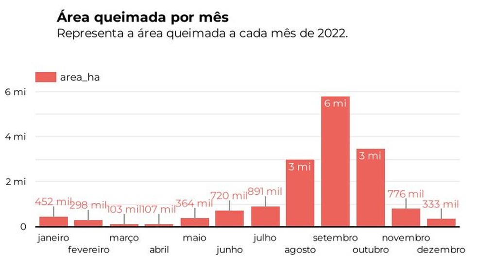 Amazônia e Cerrado concentram 95% da área queimada no Brasil em 2022 ...