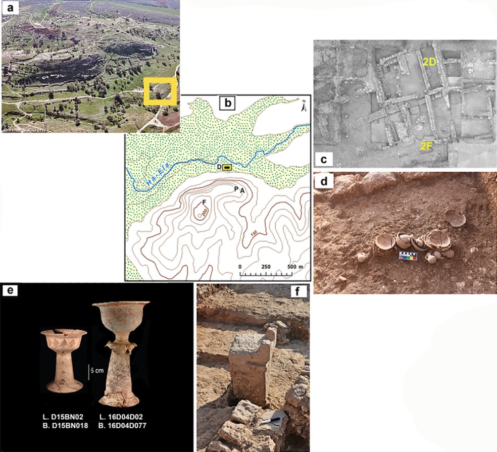 Sementes e frutos são achados em região da casa bíblica de Golias em Israel