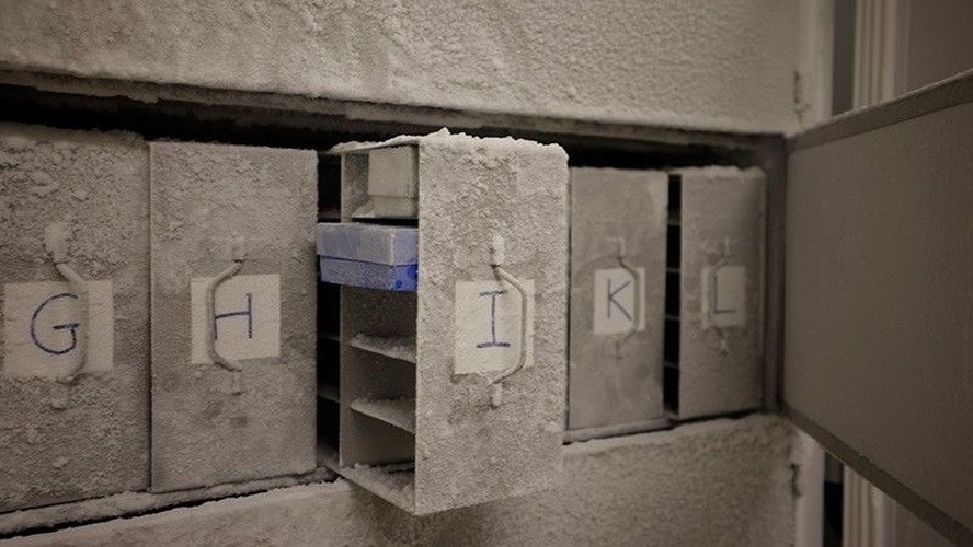 Por que cientistas vão depositar milhares de fezes humanas no 'cofre do ...