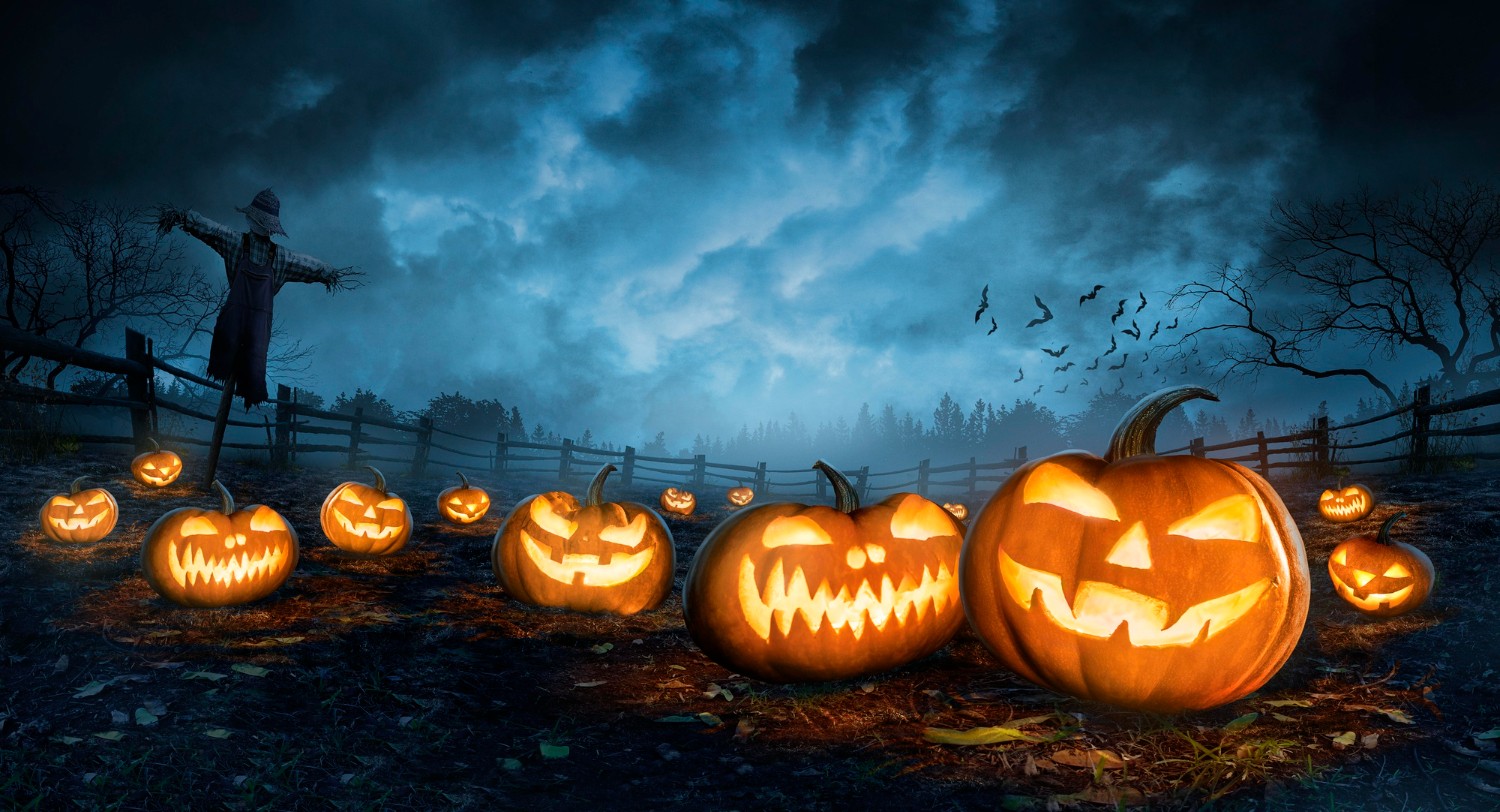 Halloween: 6 livros para entrar no clima do Dia das Bruxas