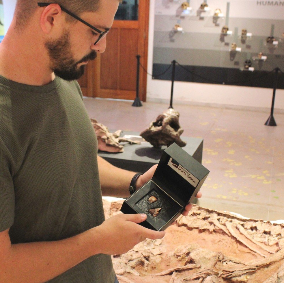 Novo réptil descoberto no RS preenche lacuna sobre origem dos ...