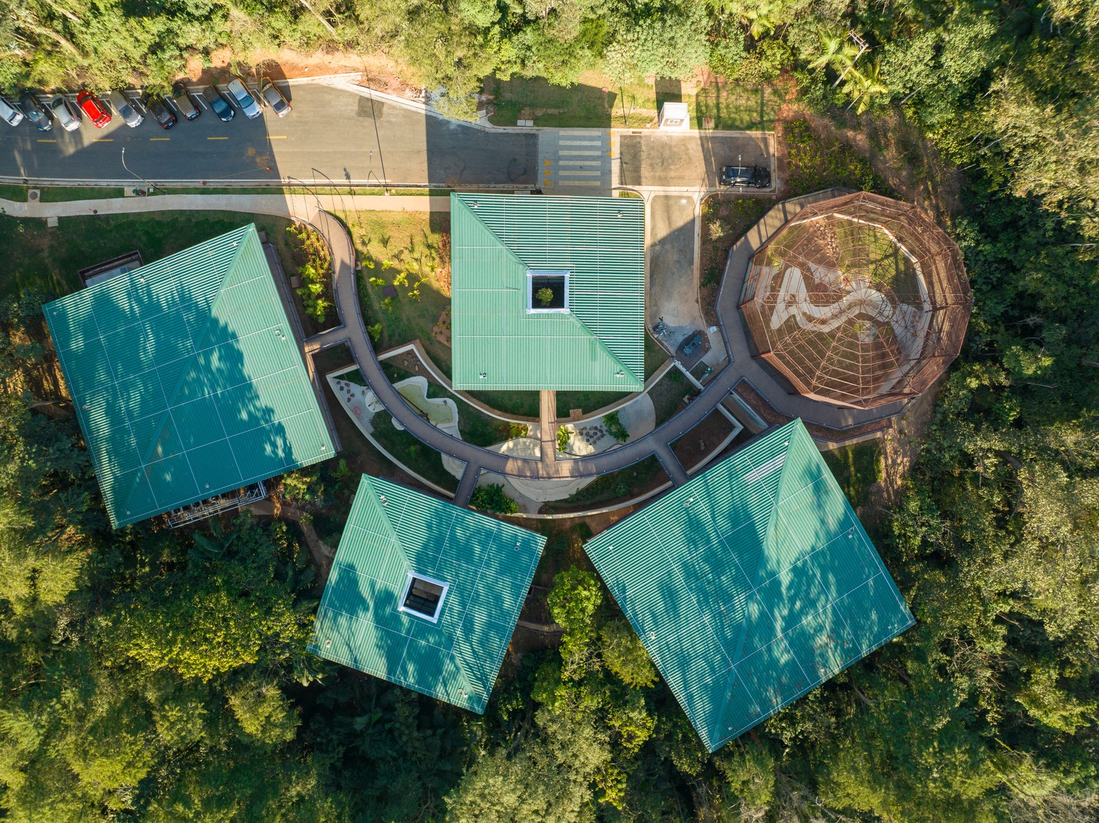 Instituto Butantan inaugura laboratório para preservar uma das cobras ...