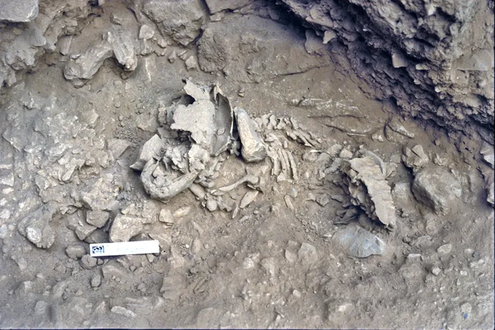 Crianças neandertais cresciam mais rápido do que humanos modernos ...