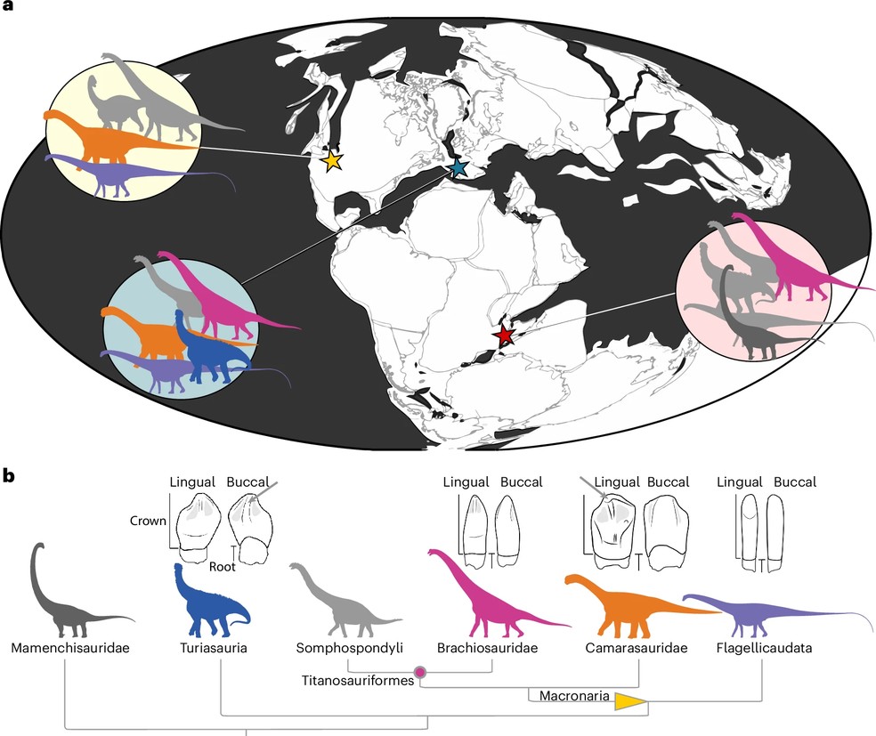 O que comiam os maiores dinossauros do mundo? Estudo investigou ...