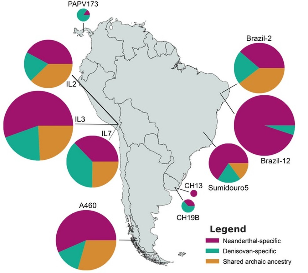 DNA de indígenas do Nordeste revela rotas de humanos antigos no continente