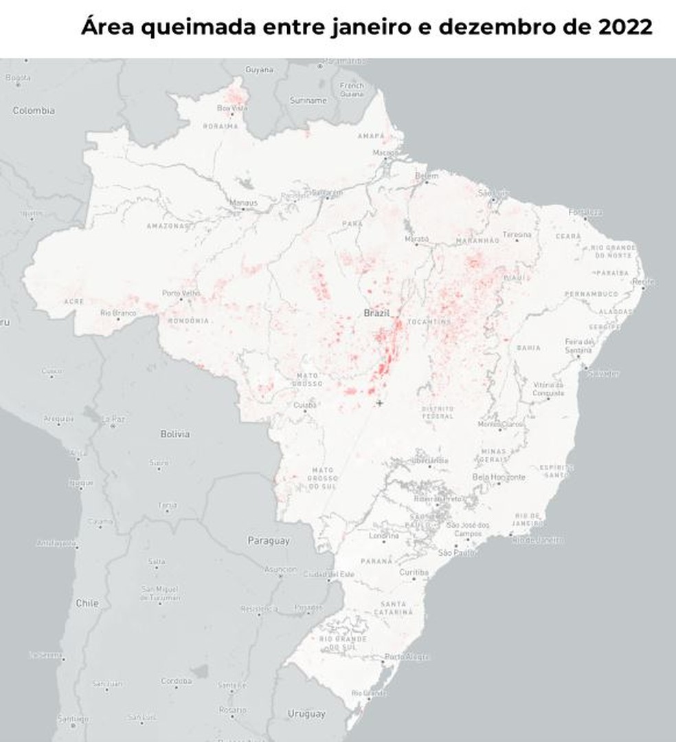 Amazônia e Cerrado concentram 95% da área queimada no Brasil em 2022 ...