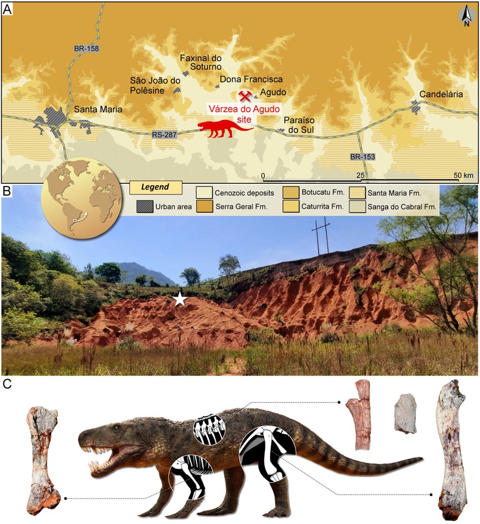 Descoberta brasileira pode mudar o que se sabe sobre a evolução dos ...