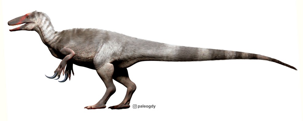 Megaraptores dominavam a Patagônia chilena há cerca de 70 milhões de ...