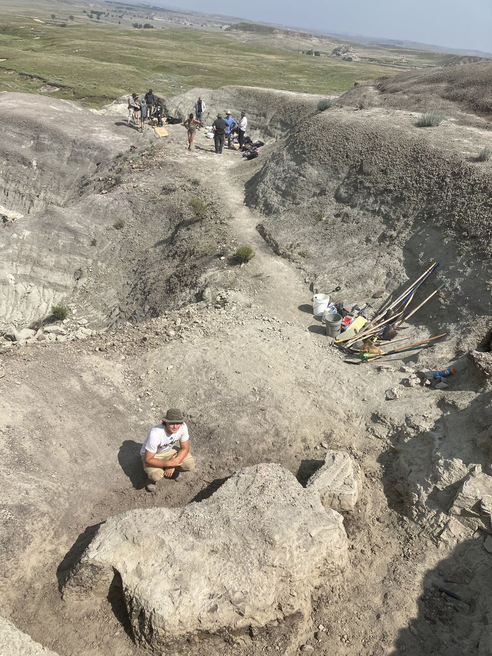 Crianças encontram fóssil raro de T. rex durante caminhada nos Estados ...