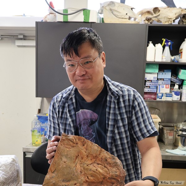 Peixe com presas de 380 milhões de anos é encontrado em lago antigo ...