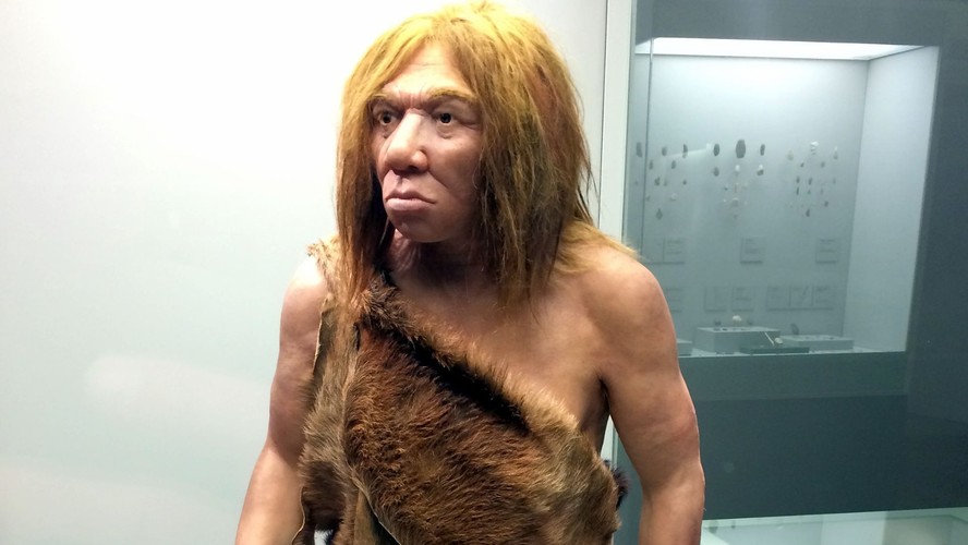 Os neandertais poderiam vencer os Homo sapiens nos Jogos Olímpicos?