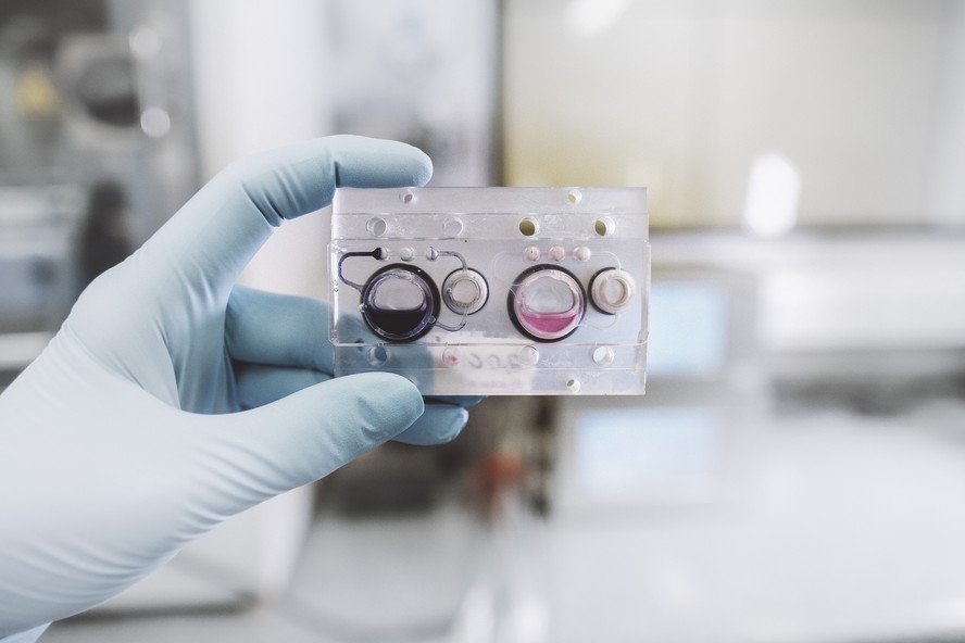 Natura e CNPEM criam novo método de órgãos em chip para testar produtos ...