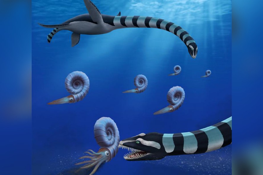 Nova espécie de monstro marinho de 85 milhões de anos tinha dentes ...