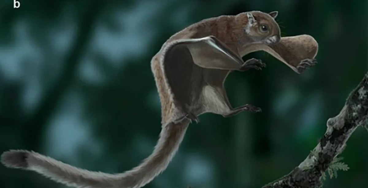 Esquilo voador gigante que viveu há 5 milhões de anos é descoberto nos ...