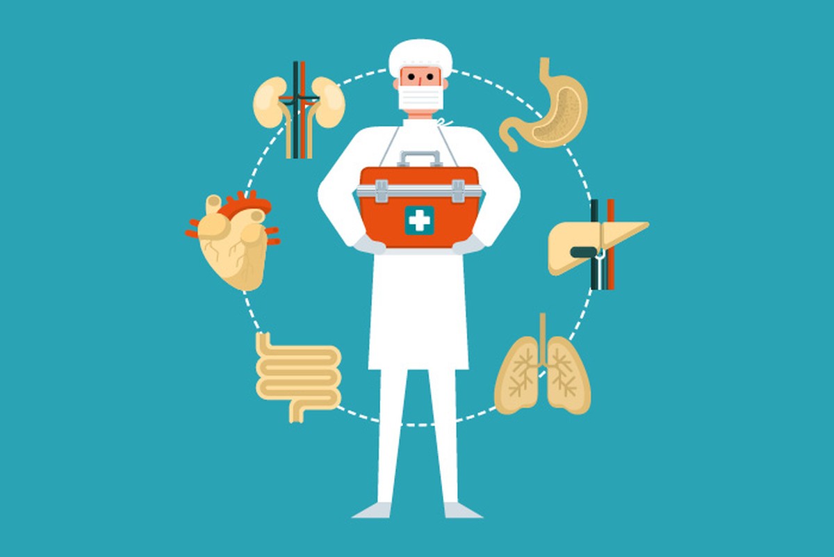 Entenda como funciona o complexo sistema de transplante de órgão no ...