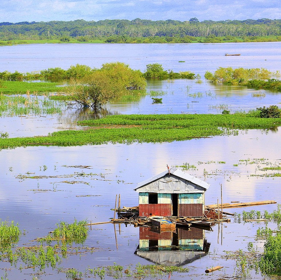 Enterrado vivo: como a Covid-19 levou ao caos uma cidade na Amazônia ...