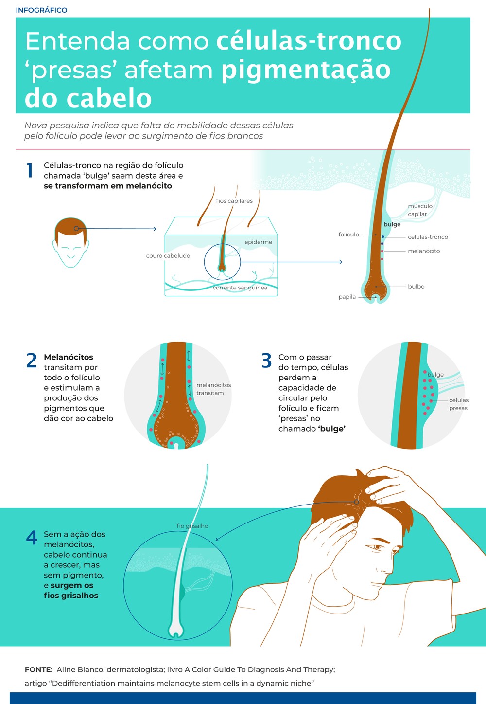 Estudo mostra como células-tronco contribuem para cabelo ficar branco