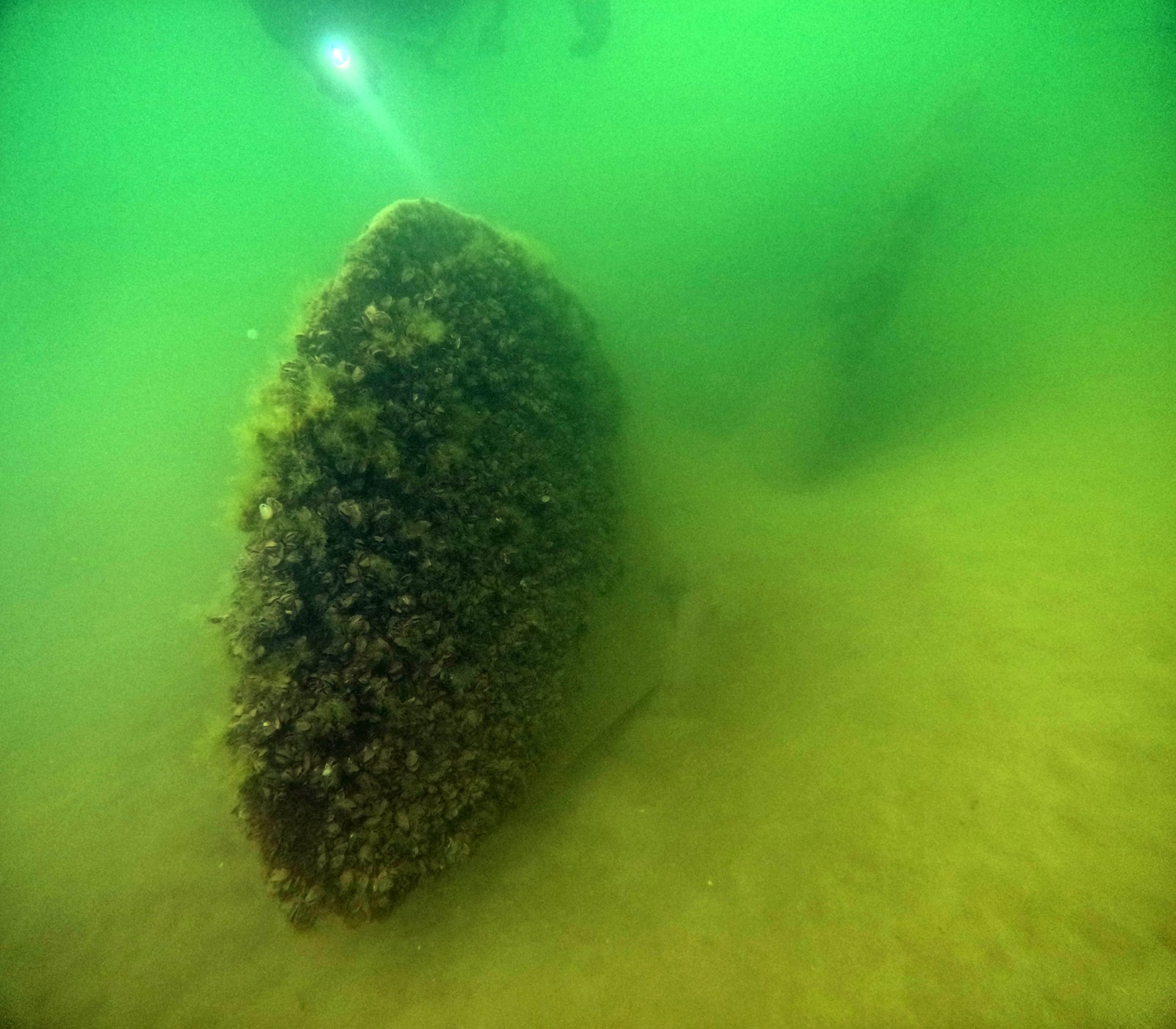 Homem vai pescar em lago nos EUA e acaba descobrindo naufrágio de 102 anos