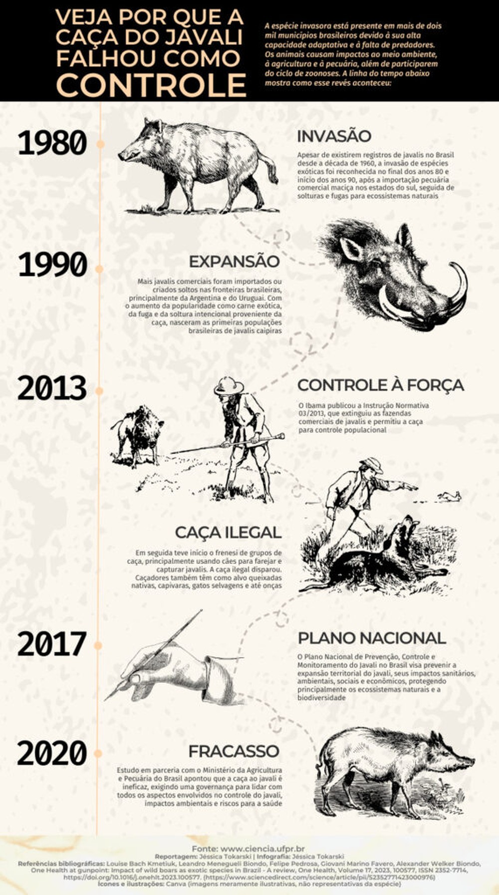 Caça aos javalis tem criado problemas ambientais e de saúde, indica estudo