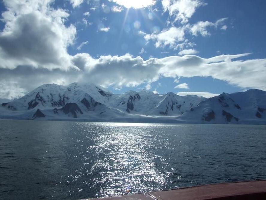 Com aquecimento global, espécies não nativas podem invadir a Antártica